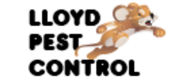 Termite Treatment Job at LLOYD PEST CONTROL in Santa Ana, California ...